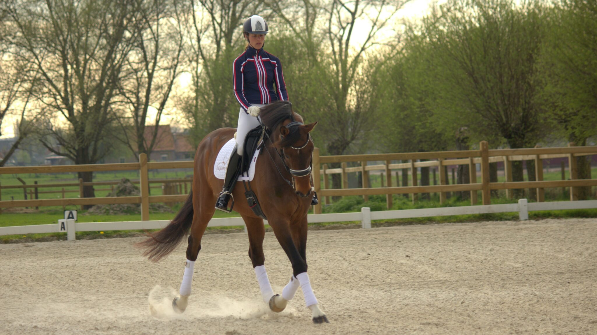 Ruiter Analyse - Equiphys